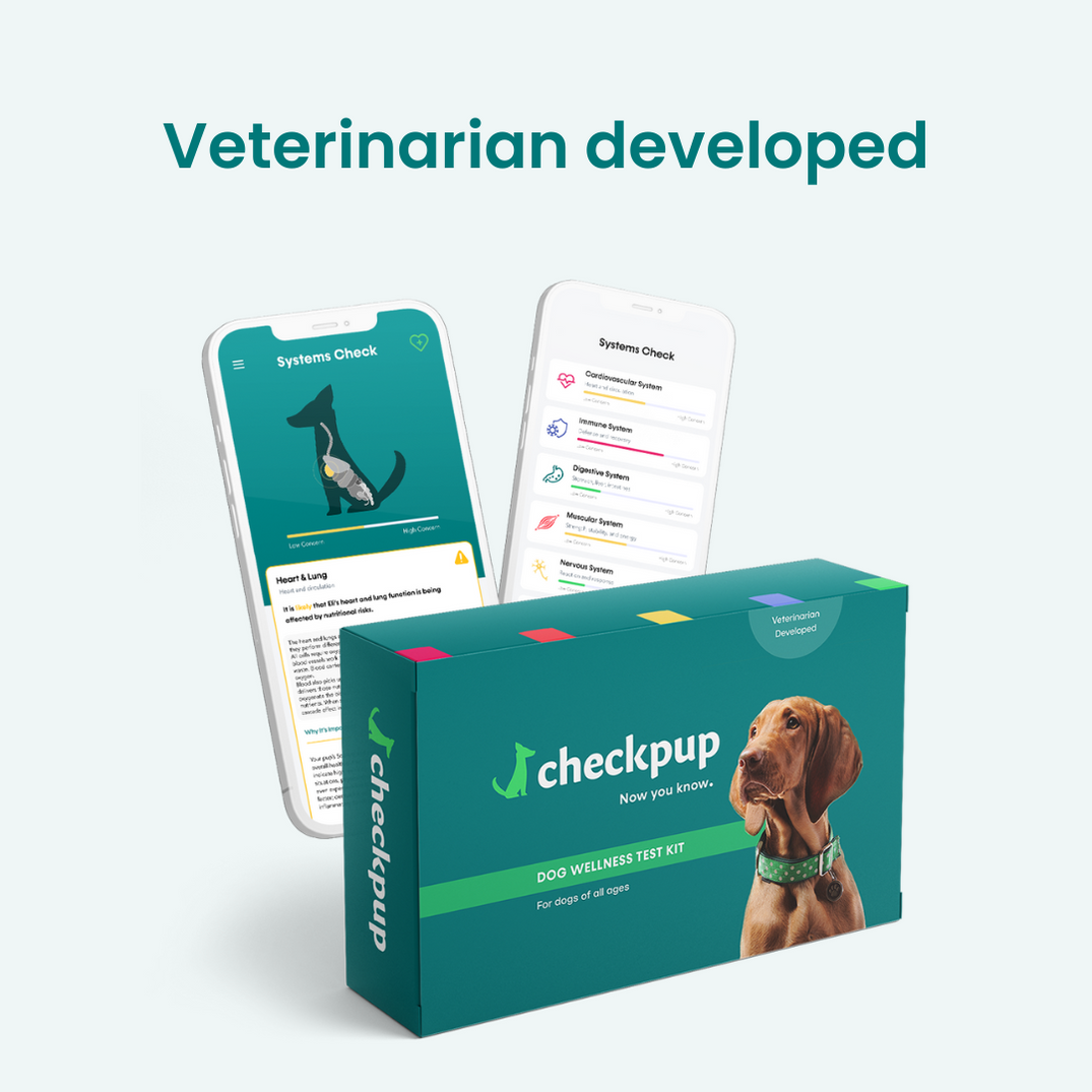 Dog Wellness Test Kit - Checkpup | Checkpup
